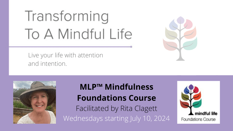 MLP Online Mindfulness 8 Week Foundations Course - Mindfulness in Recovery® Institute