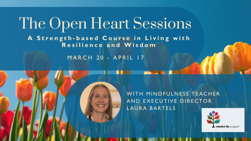 The Open Heart Sessions - A Strength-based Course in Living with Resilience and Wisdom with ...
